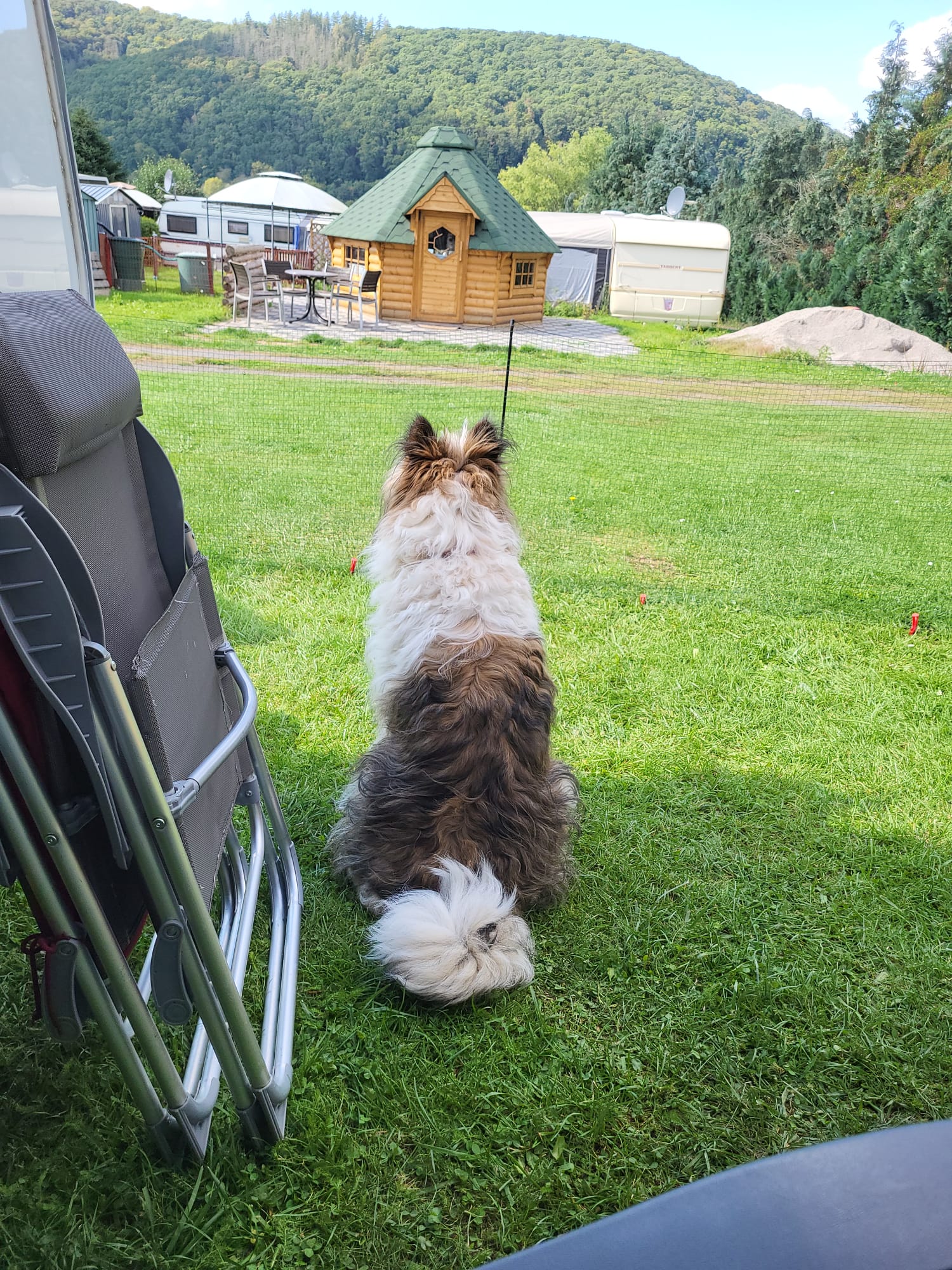 Ferienwohnung Mit Hund Thuringen